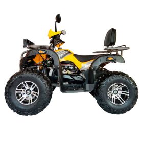 Atv Mikilon Thunder 200cc Deluxe | Despachos a todo Chile